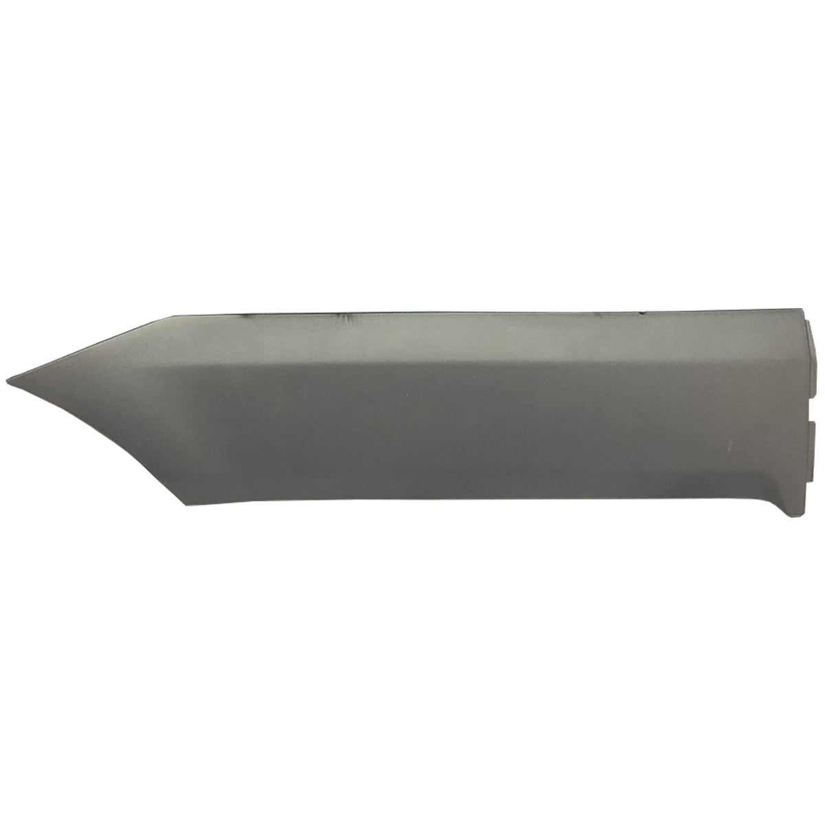 MOLDURA PUERTA SUNRAY 21-24 L CN – iAutopartes